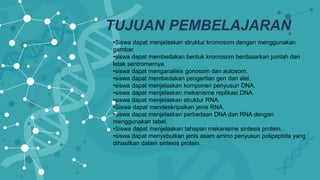 Materi genetik | PPT