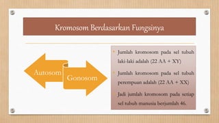 Materi genetik | PPTX
