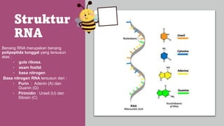 materi genetik.pptx