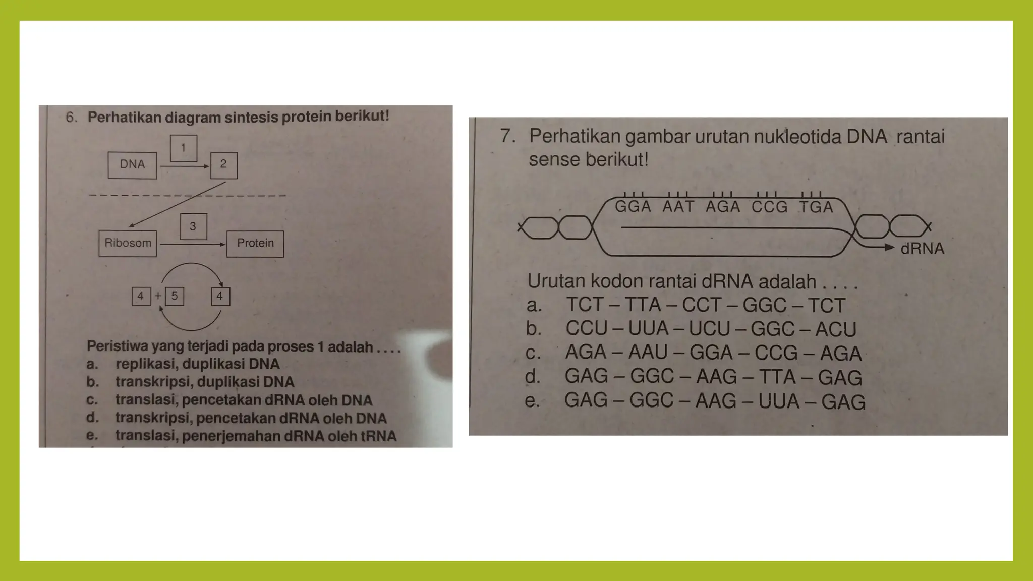 MATERI GENETIK (DNA, RNA, Kromosom dll).pptx
