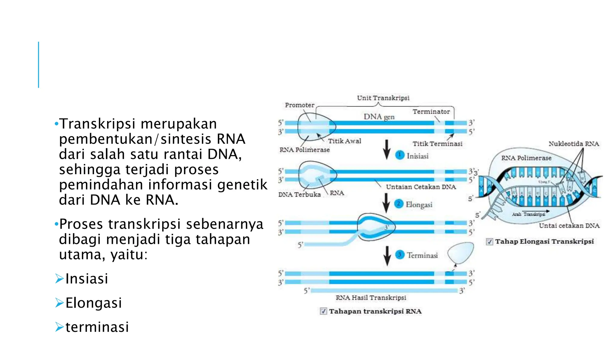 Materi Genetika BIOLOGI kelas 3 SMA.pptx