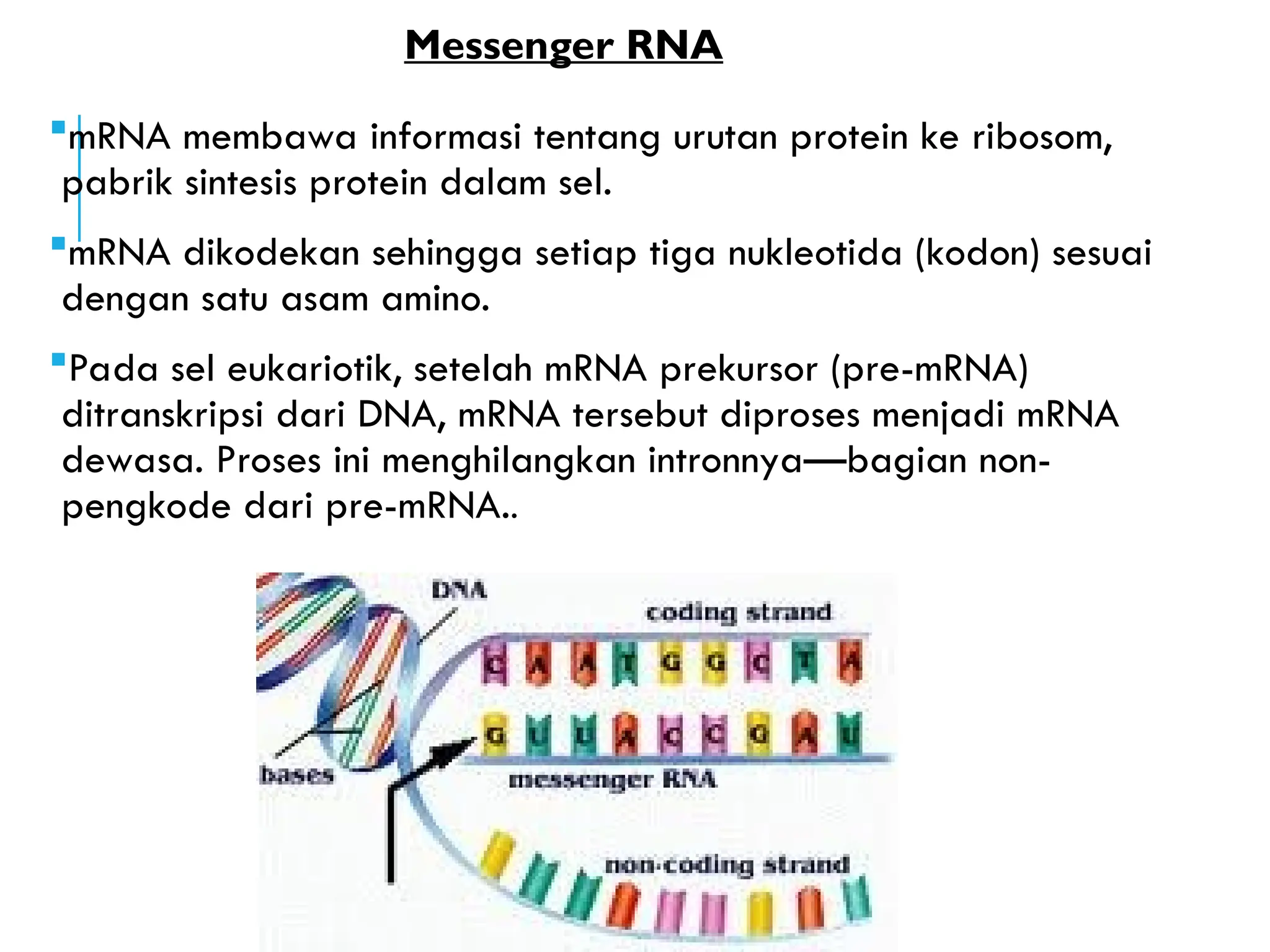 Materi Genetika Sel : DNA dan jenis jenis RNANA .ppt