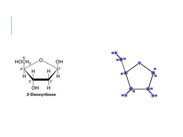 Materi Genetika Sel : DNA dan jenis jenis RNANA .ppt