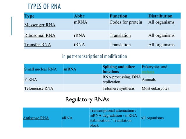 Materi Genetika Sel : DNA dan jenis jenis RNANA .ppt