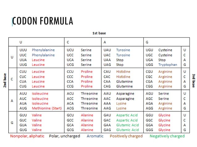 Materi Genetika Sel : DNA dan jenis jenis RNANA .ppt