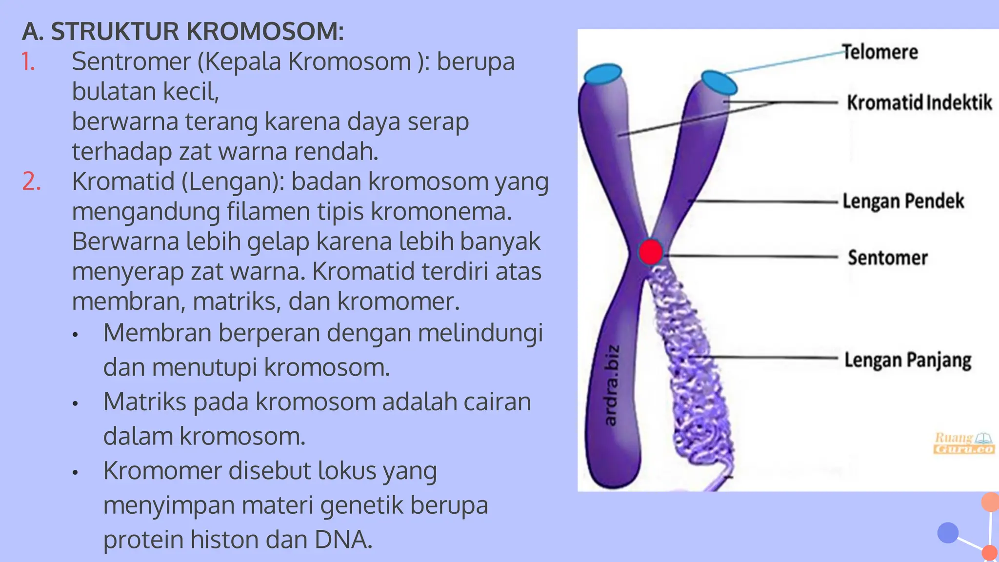 Materi Genetik dan Ekspresi Gen pada.pdf