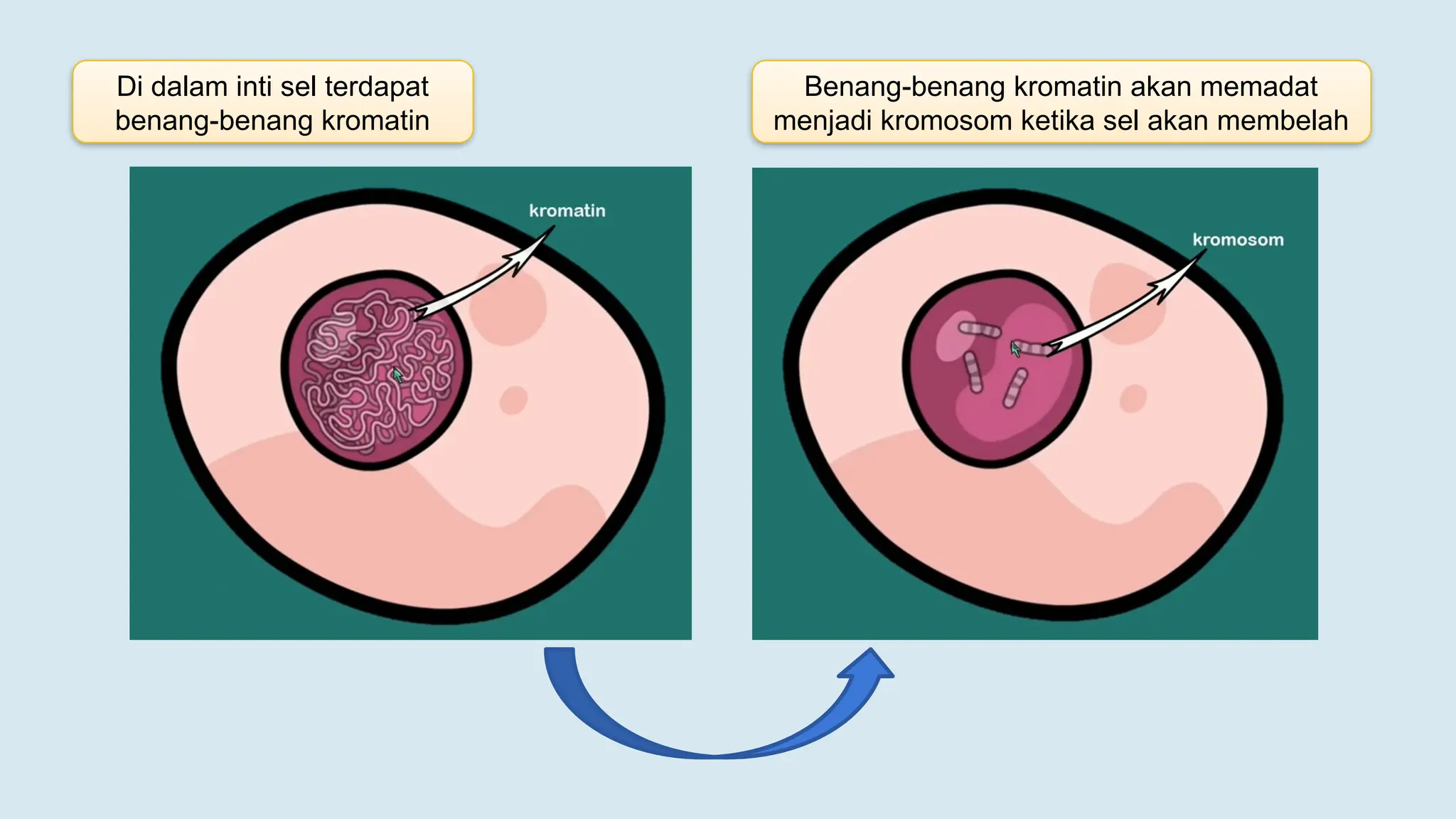 MATERI GENETIK (DNA DAN RNA) IPA KELAS IX SMP | PPTX