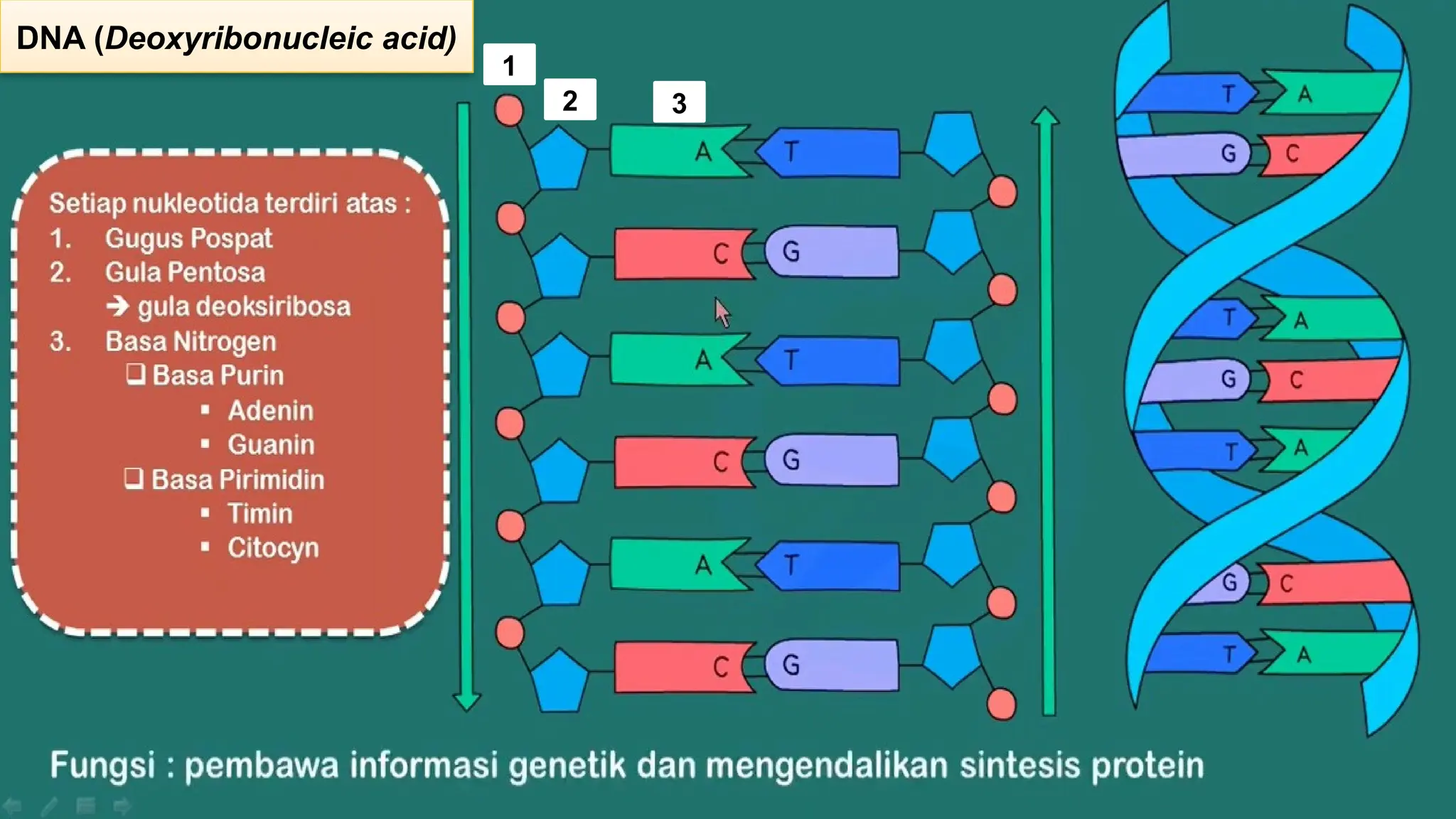 MATERI GENETIK (DNA DAN RNA) IPA KELAS IX SMP | PPTX