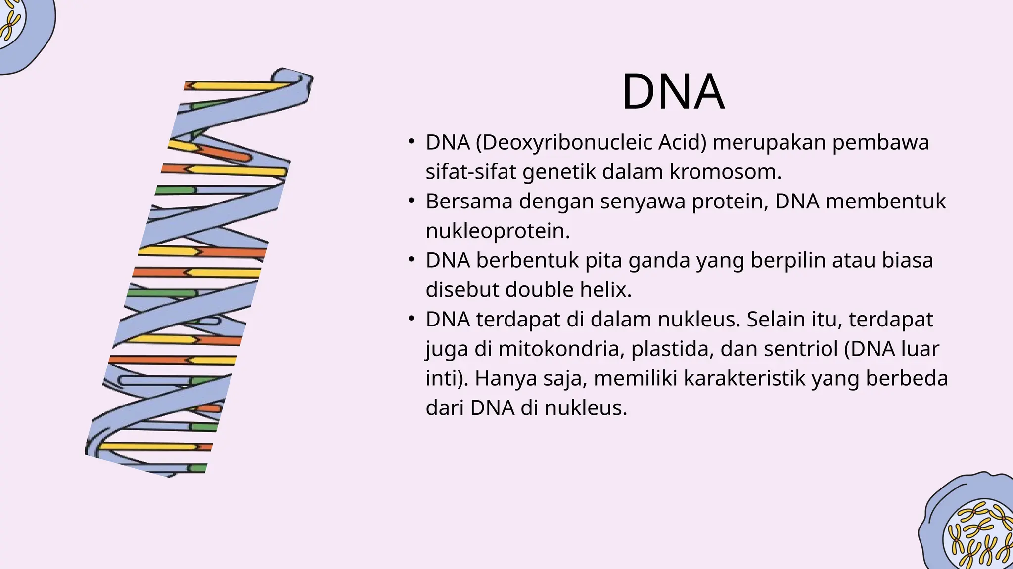 MATERI GENETIK KELAS 9 Pewarisan Sifat Pada Manusia.pptx