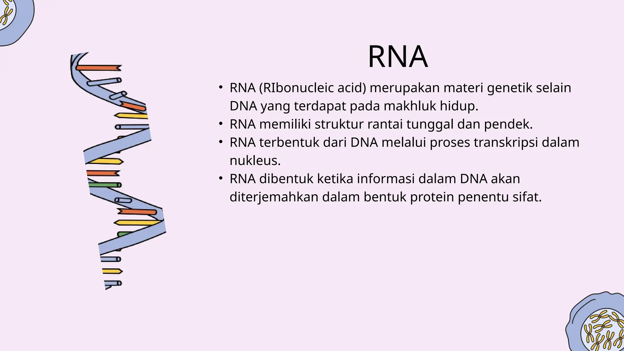 MATERI GENETIK KELAS 9 Pewarisan Sifat Pada Manusia.pptx