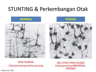 MATERI GIZI DAN STUNTING.ppt