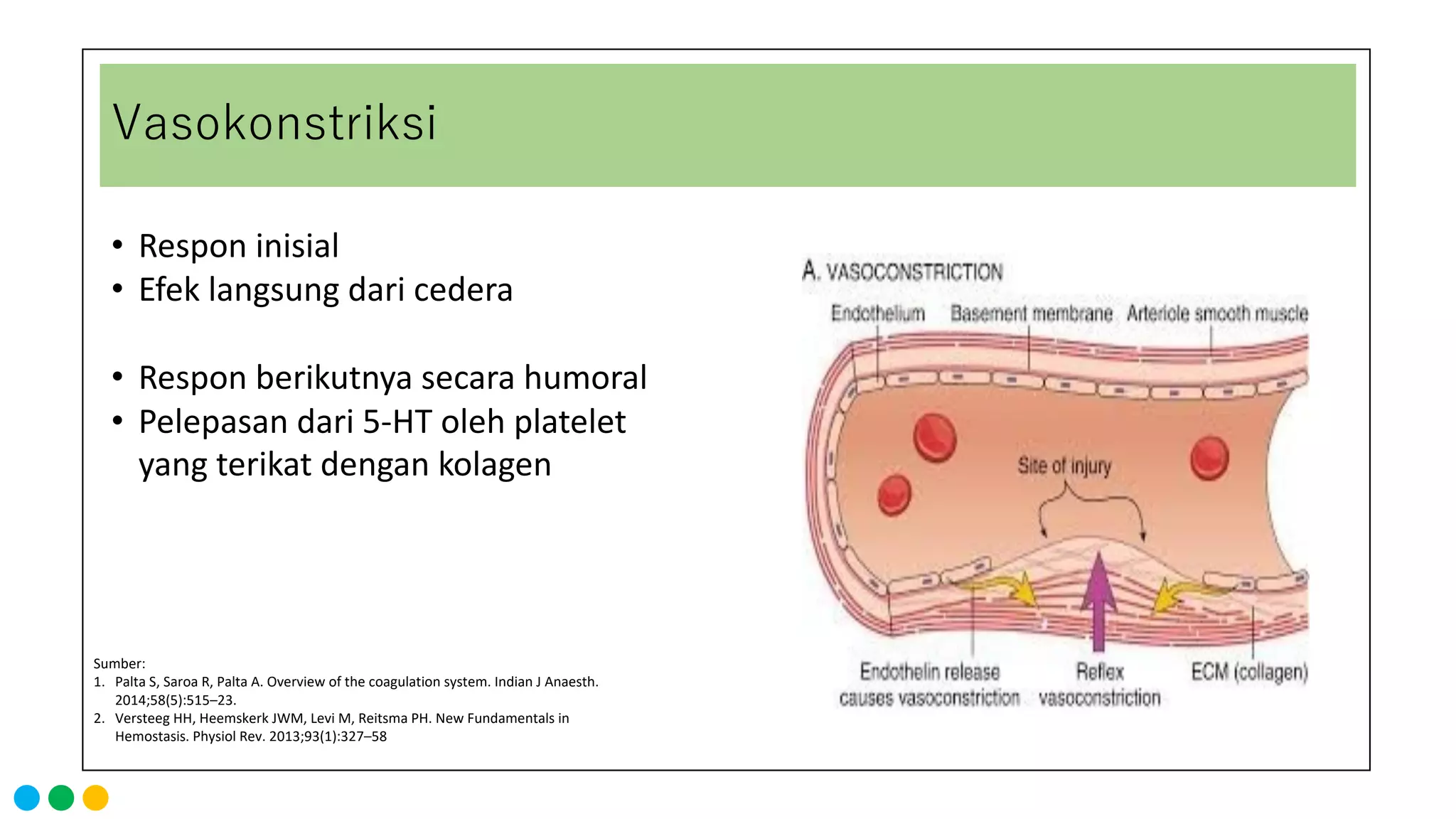 Materi Hemostasis.pdf
