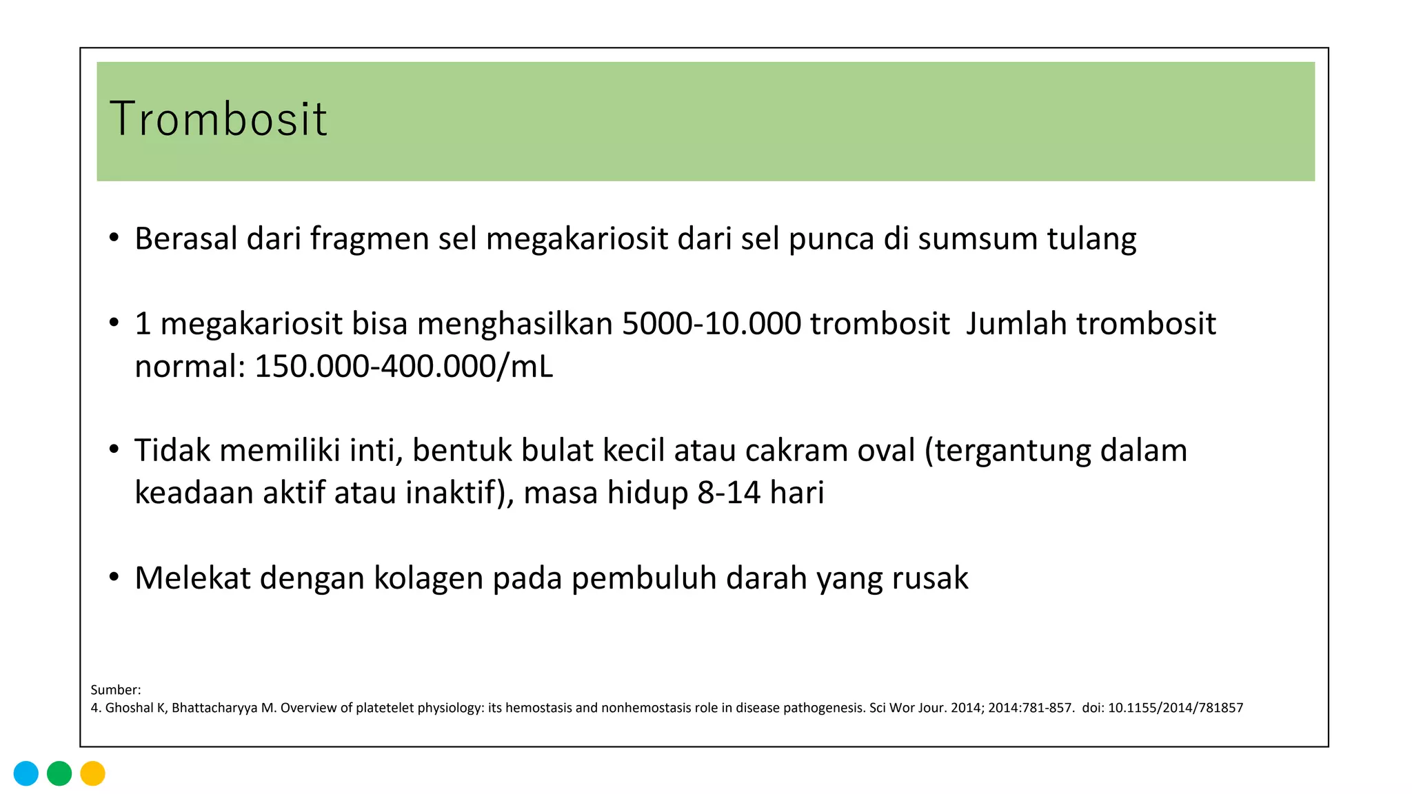 Materi Hemostasis.pdf