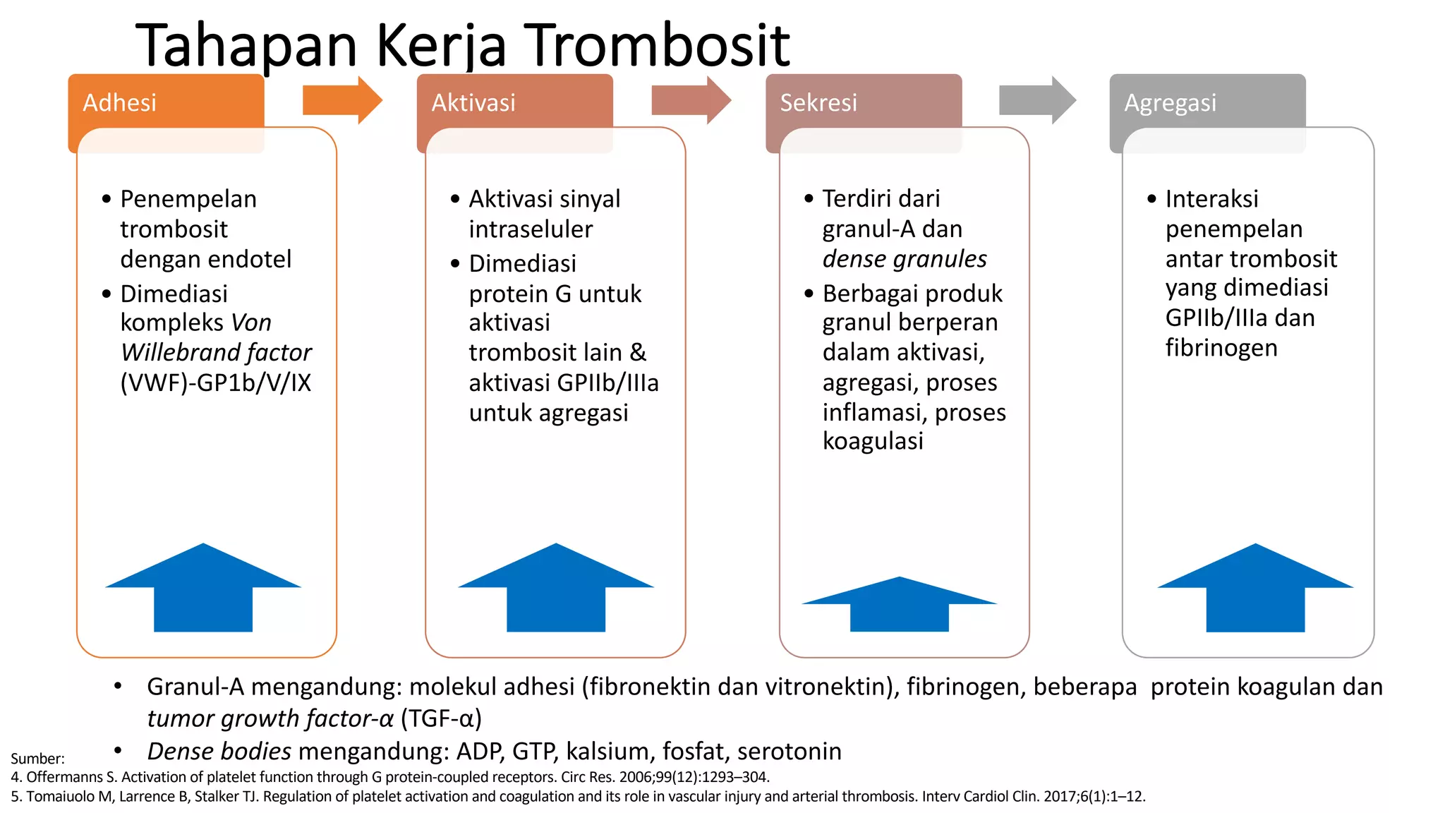 Materi Hemostasis.pdf