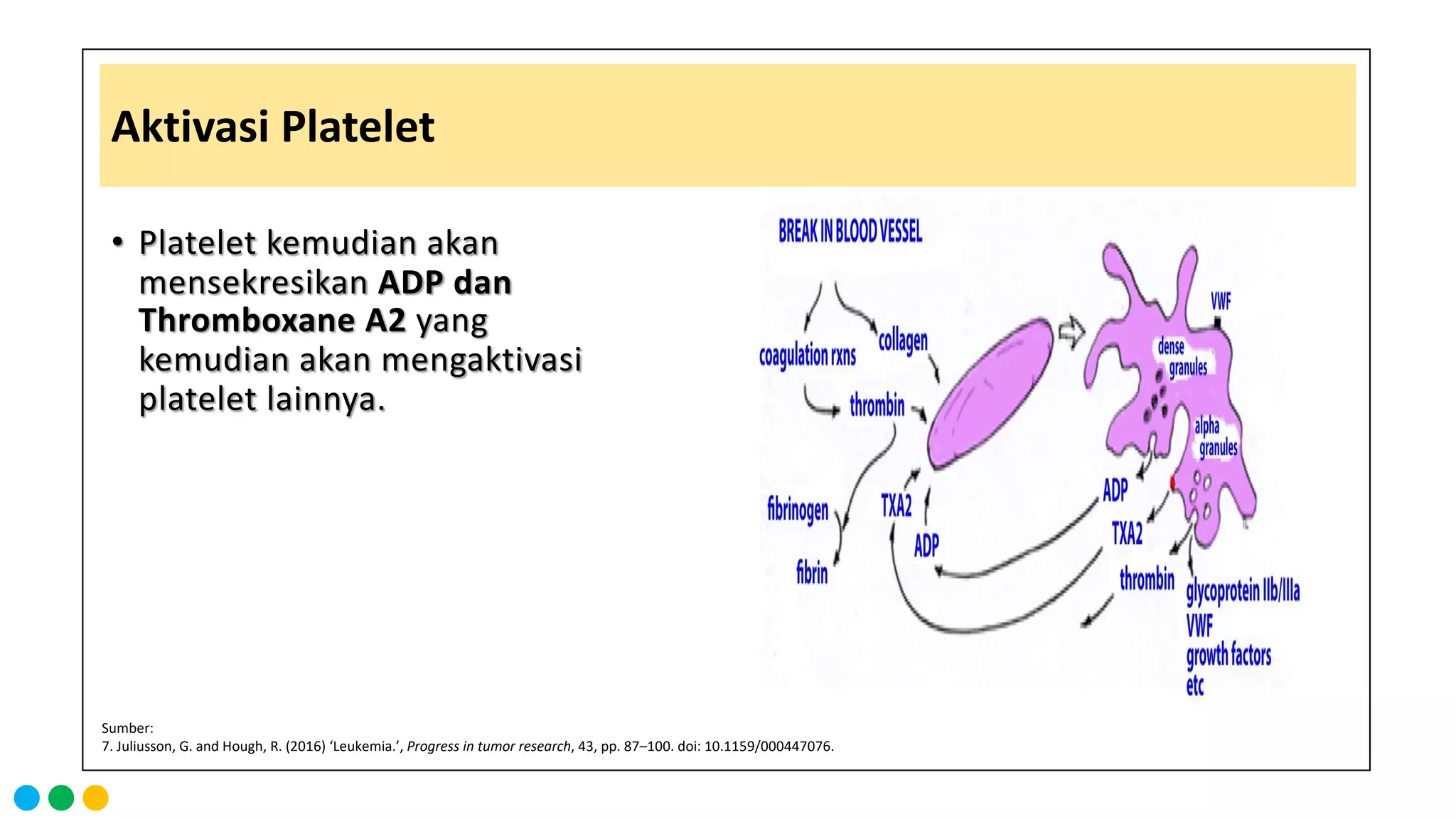 Materi Hemostasis.pdf