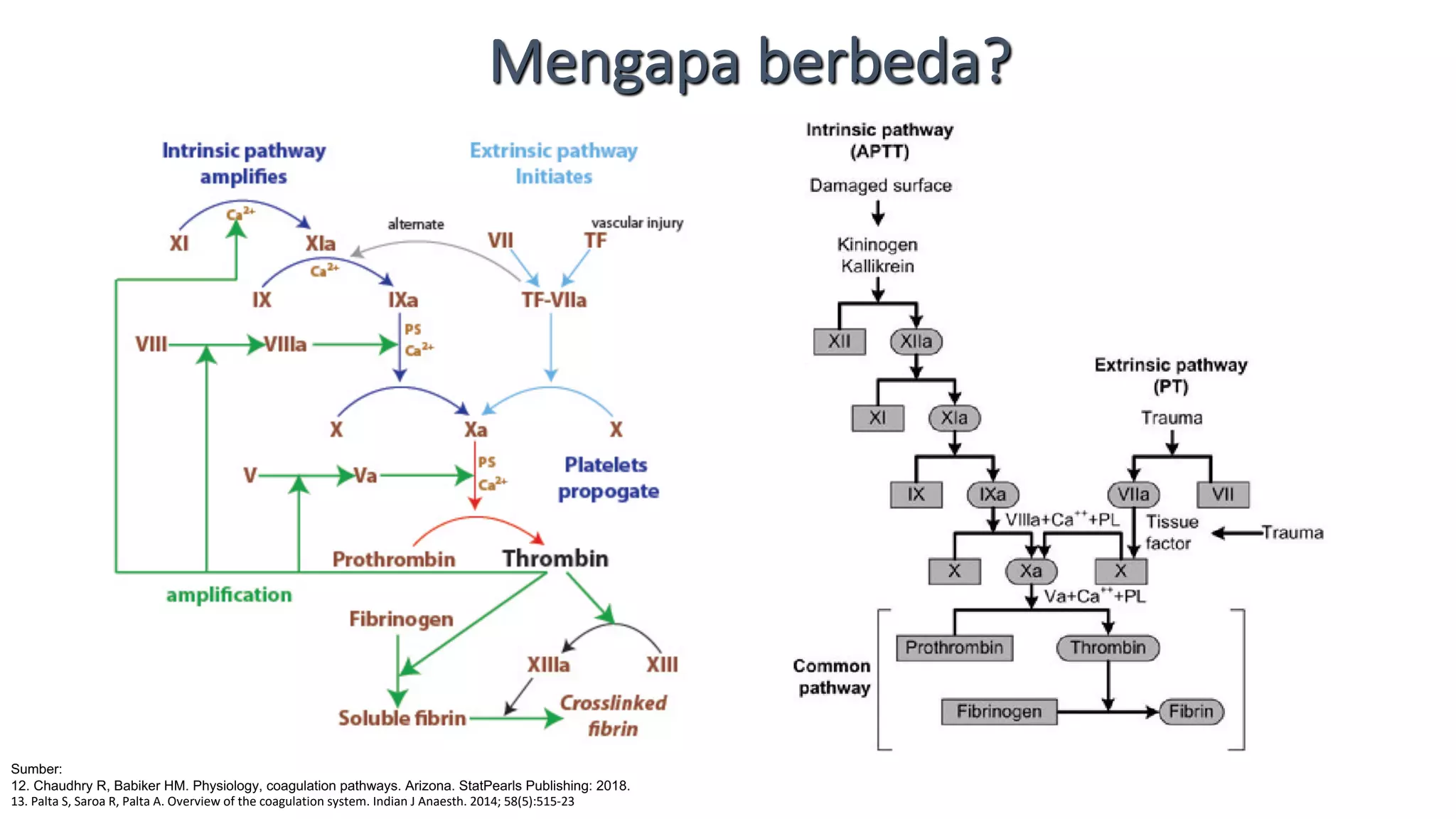 Materi Hemostasis.pdf