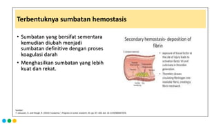Materi Hemostasis.pdf