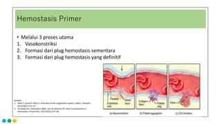 Materi Hemostasis.pdf