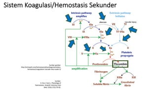 Materi Hemostasis.pdf