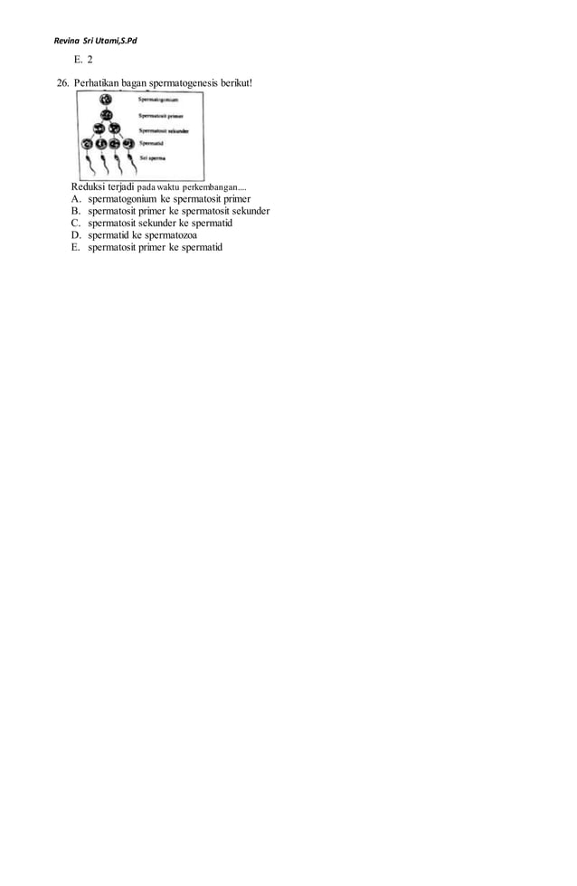 HEREDITAS | DOCX