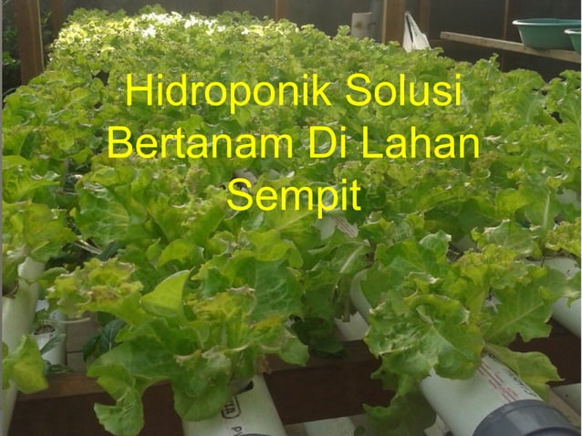 Materi pembelajaran bahan hidroponik.pptx
