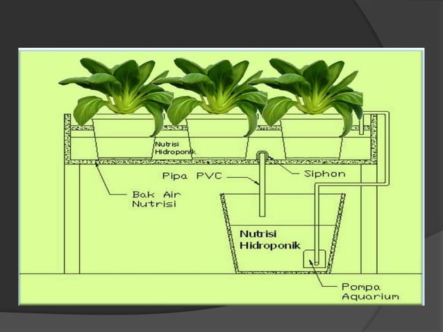 Materi pembelajaran bahan hidroponik.pptx