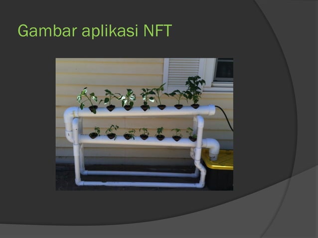 Materi pembelajaran bahan hidroponik.pptx