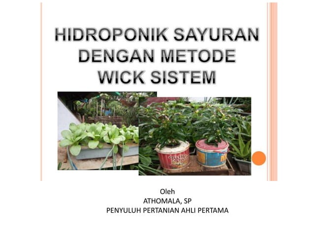 Materi Hidroponik sederhana Sistem Wick.pptx