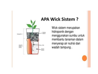 Materi Hidroponik sederhana Sistem Wick.pptx