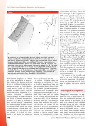 Materi hillsachs.pdf
