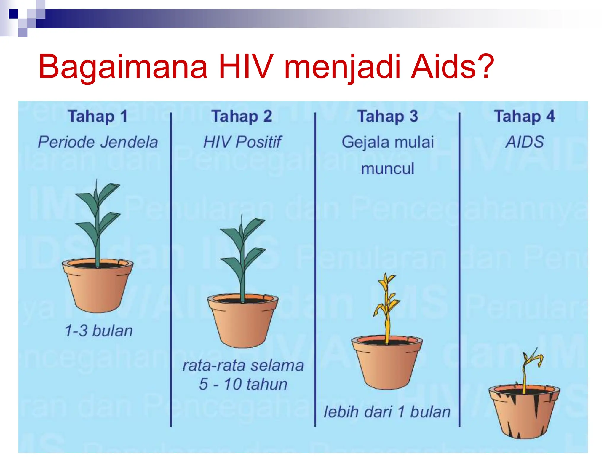 MATERI PRESENTASI KESEHATAN HIV DAN AIDS.ppt