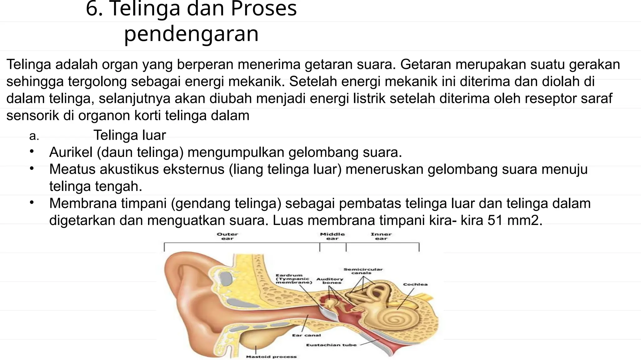 Materi Ilmu biomedik Dasar Fisika dlm Keperawatan.pptx