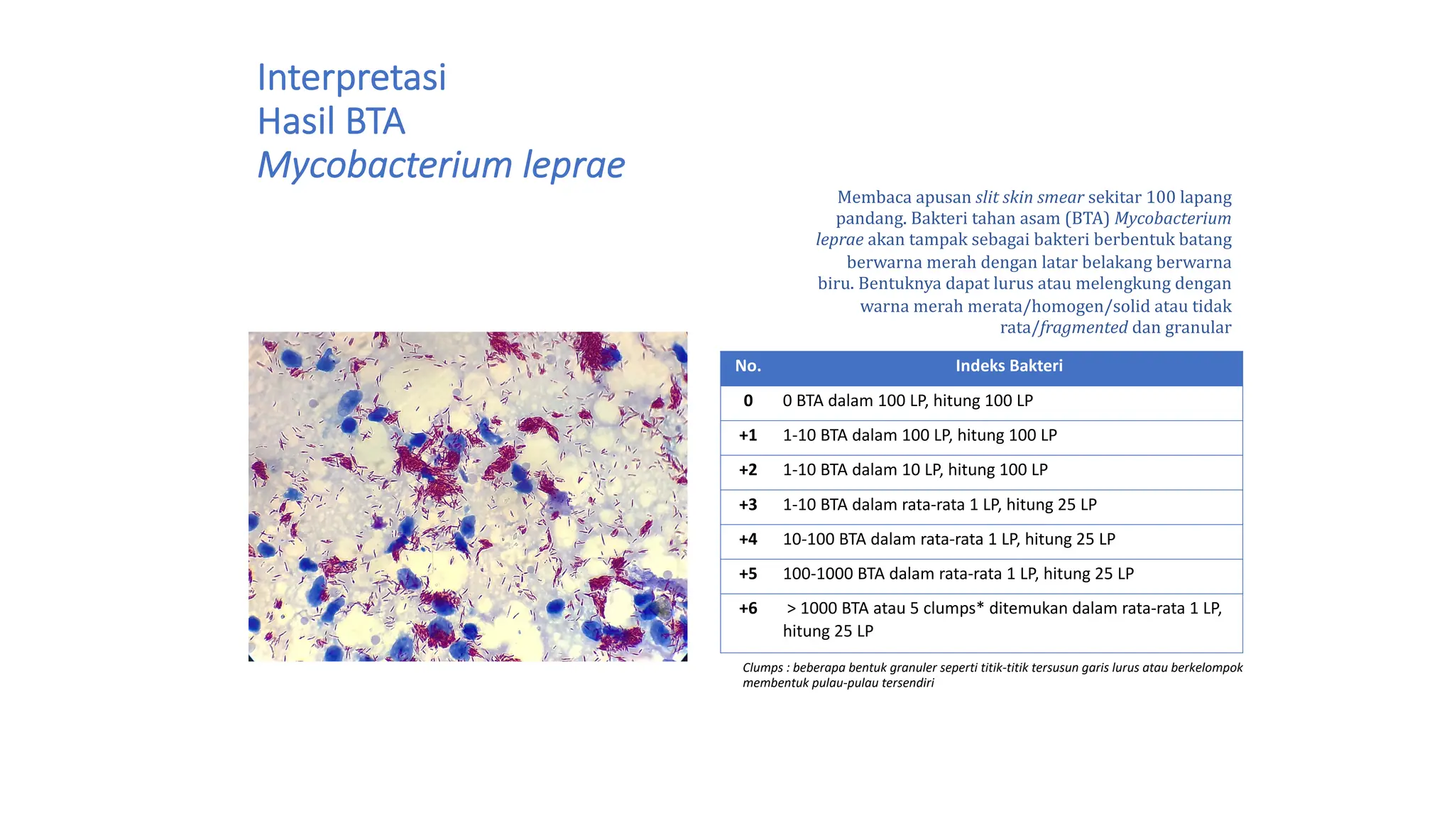 Materi Infeksi Kulit oleh Bakteri-1.pdf