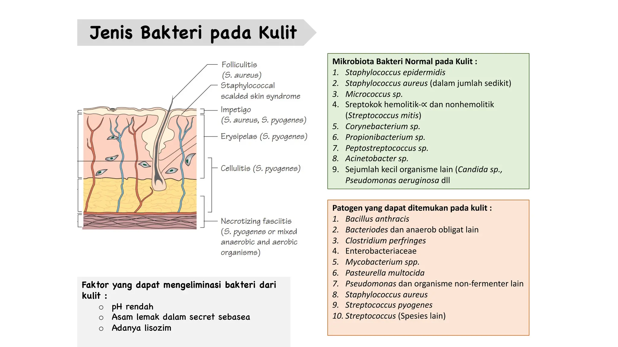 Materi Infeksi Kulit oleh Bakteri-1.pdf