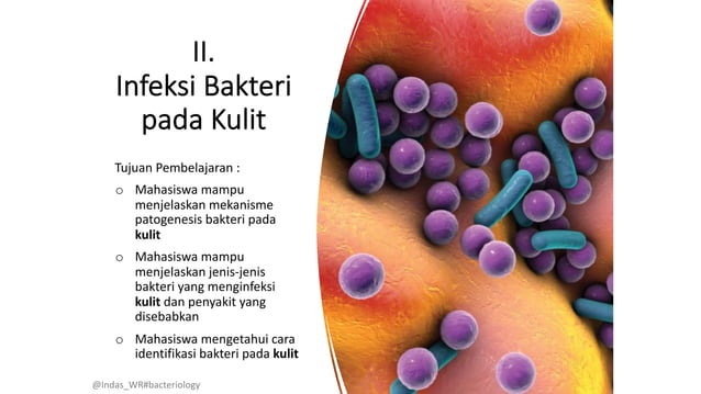 Materi Infeksi Kulit oleh Bakteri-1.pdf