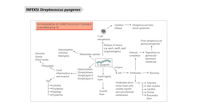 Materi Infeksi Kulit oleh Bakteri-1.pdf