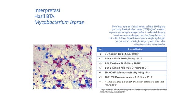 Materi Infeksi Kulit oleh Bakteri-1.pdf
