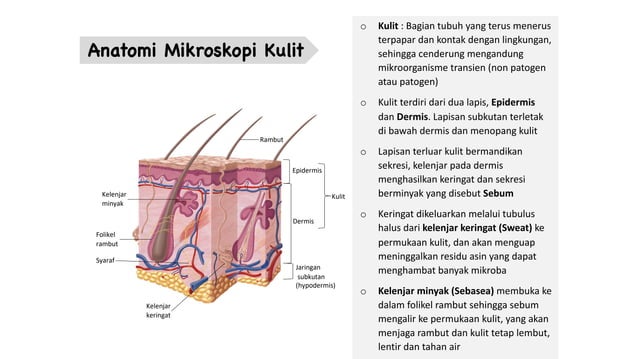 Materi Infeksi Kulit oleh Bakteri-1.pdf
