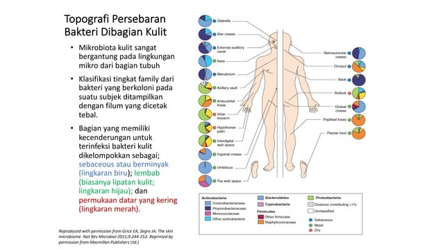 Materi Infeksi Kulit oleh Bakteri-1.pdf