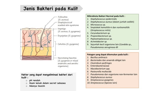 Materi Infeksi Kulit oleh Bakteri-1.pdf