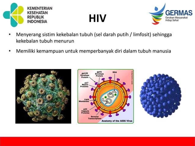 Materi informasi dasar hiv | PPTX