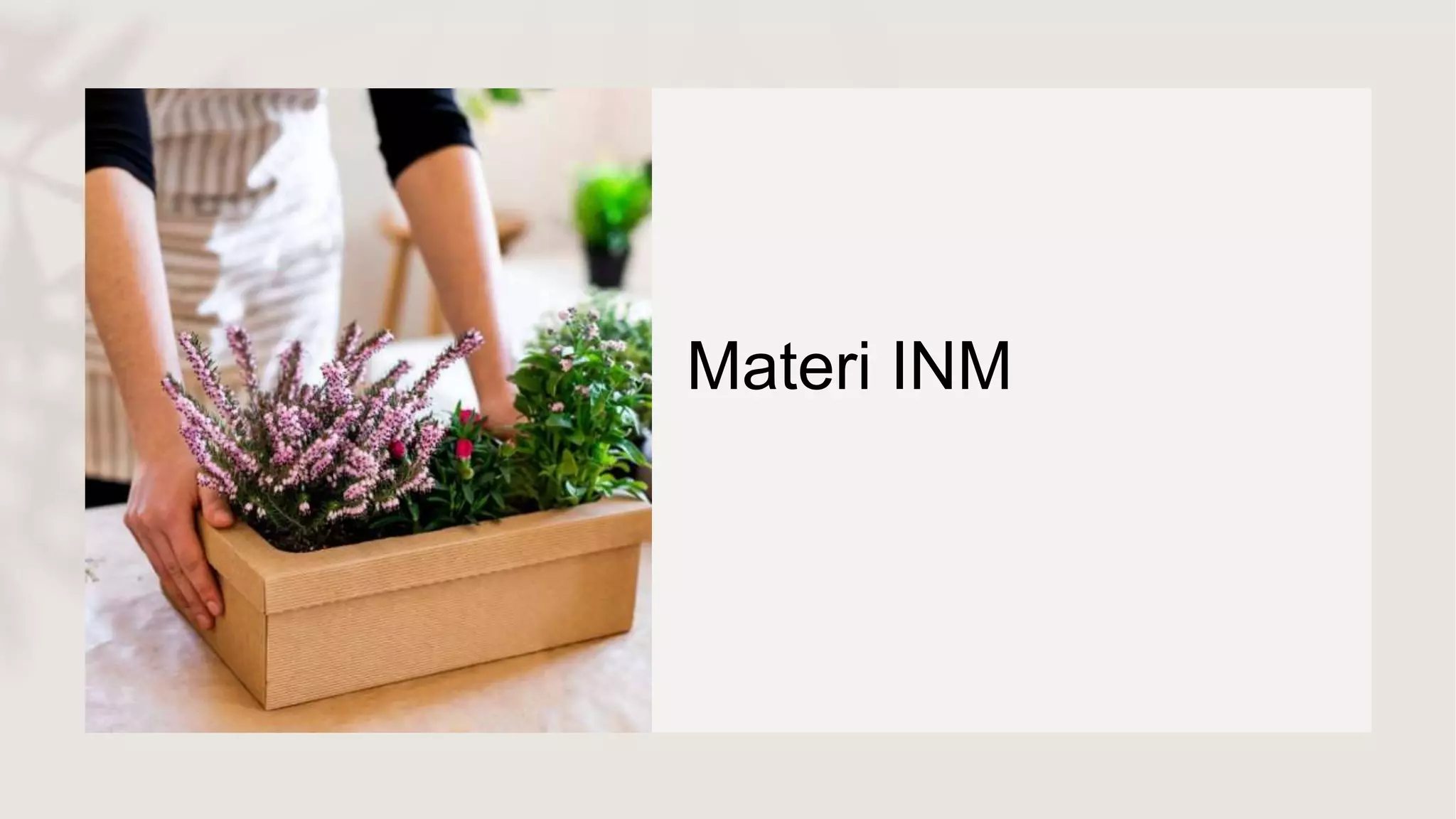 MATERI INM.pptx