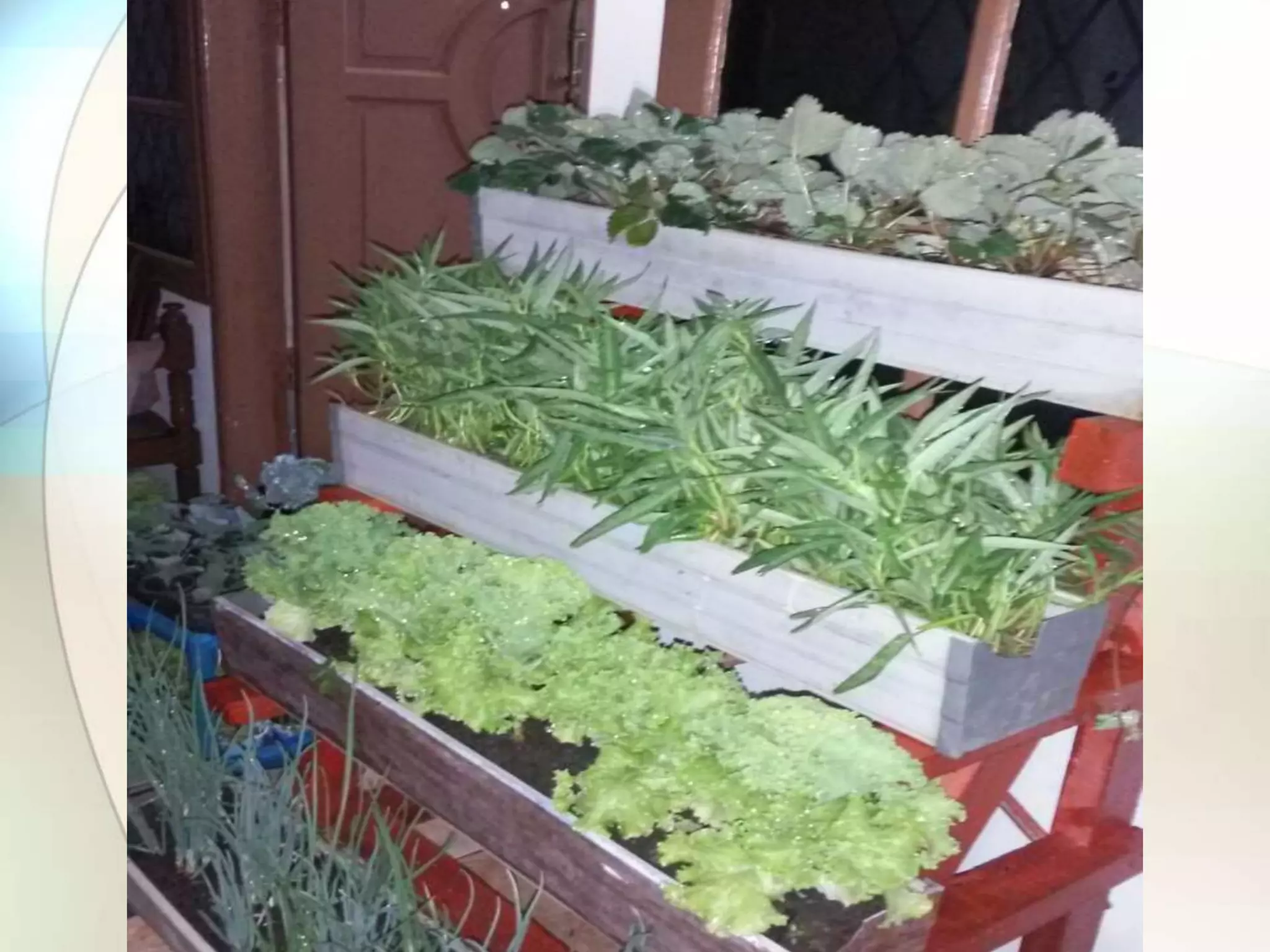 Materi inovasi pemanfaatan pekarangan | PPT