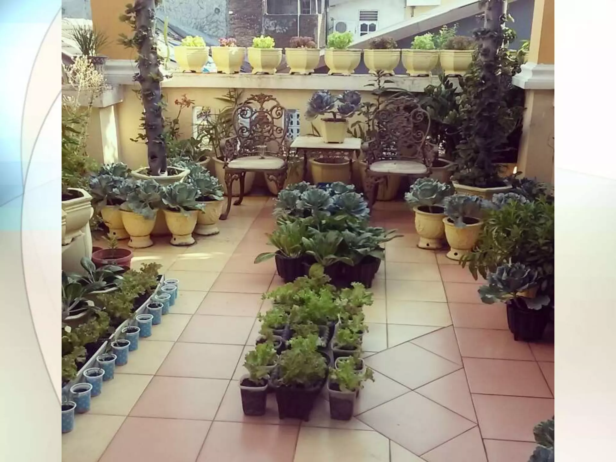 Materi inovasi pemanfaatan pekarangan | PPT