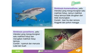 MATERI IPA EKOSISTEM KELAS 5 SEKOLAH DASAR.pptx
