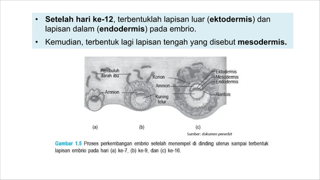 materi IPA Kelas 9 BAB 1 Sistem reproduksi manusia.pdf