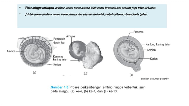 materi IPA Kelas 9 BAB 1 Sistem reproduksi manusia.pdf