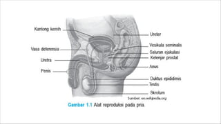 materi IPA Kelas 9 BAB 1 Sistem reproduksi manusia.pdf