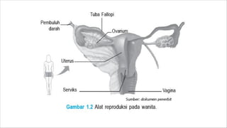 materi IPA Kelas 9 BAB 1 Sistem reproduksi manusia.pdf