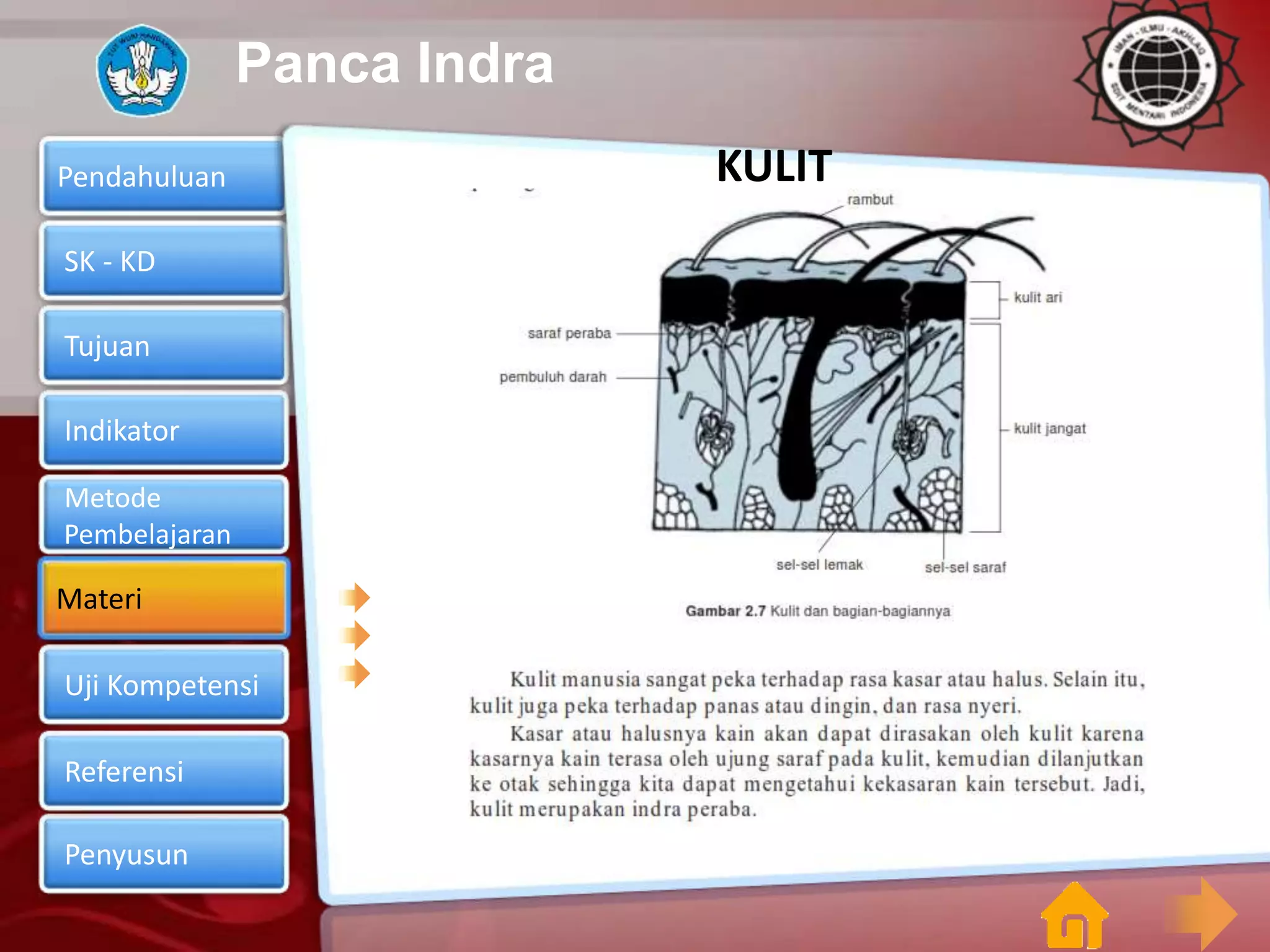 Materi ipa kelas 4 semester 1 panca indra | PPTX